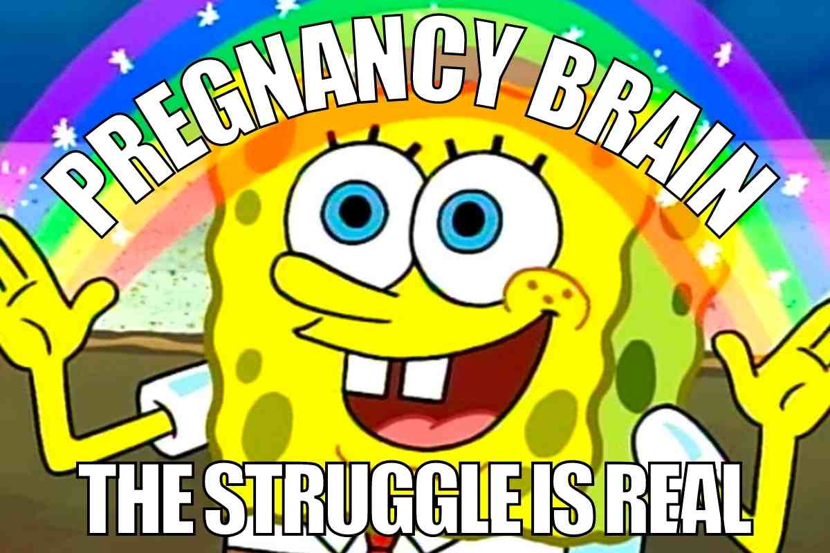 50 Hilarious Pregnancy Memes Every Mom-to-Be Will Relate To