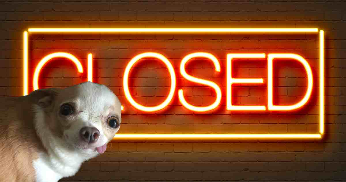 21 Hilarious School Closing Memes For When Theres No School