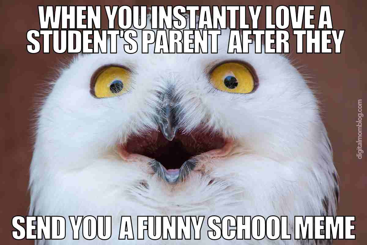 150 Hilarious School Memes For Teachers And Students