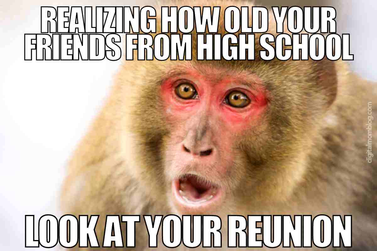 150 Hilarious School Memes For Teachers And Students