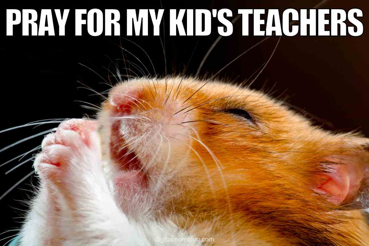 150 Hilarious School Memes For Teachers And Students