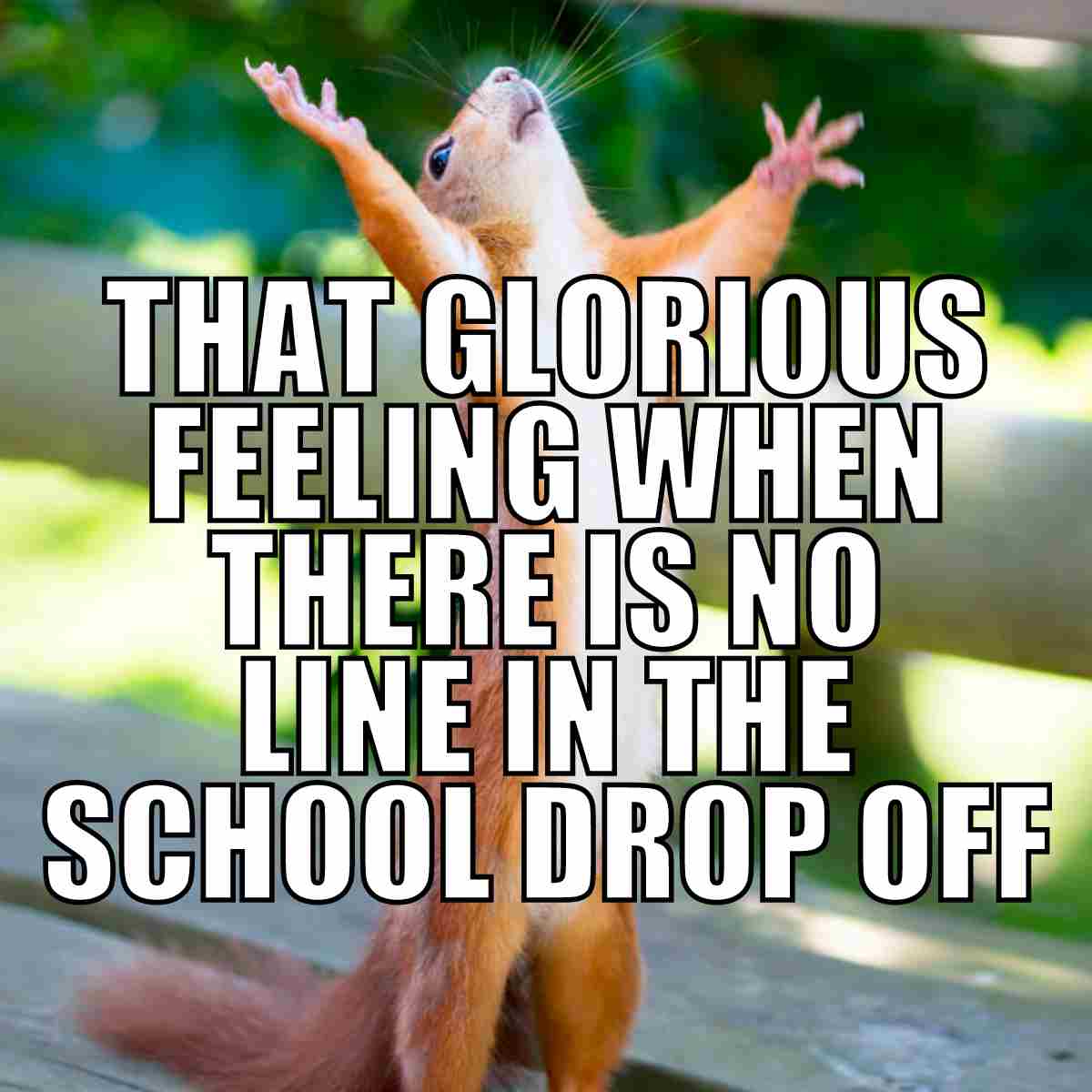 150 Hilarious School Memes For Teachers And Students