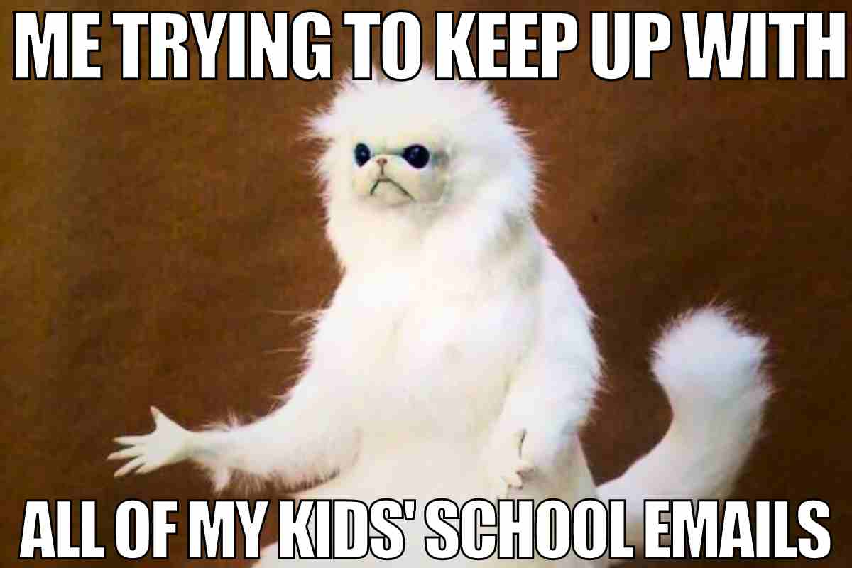 150 Hilarious School Memes For Teachers And Students