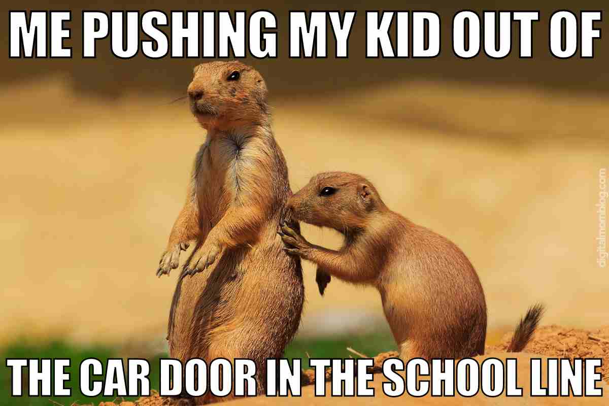 150 Hilarious School Memes For Teachers And Students