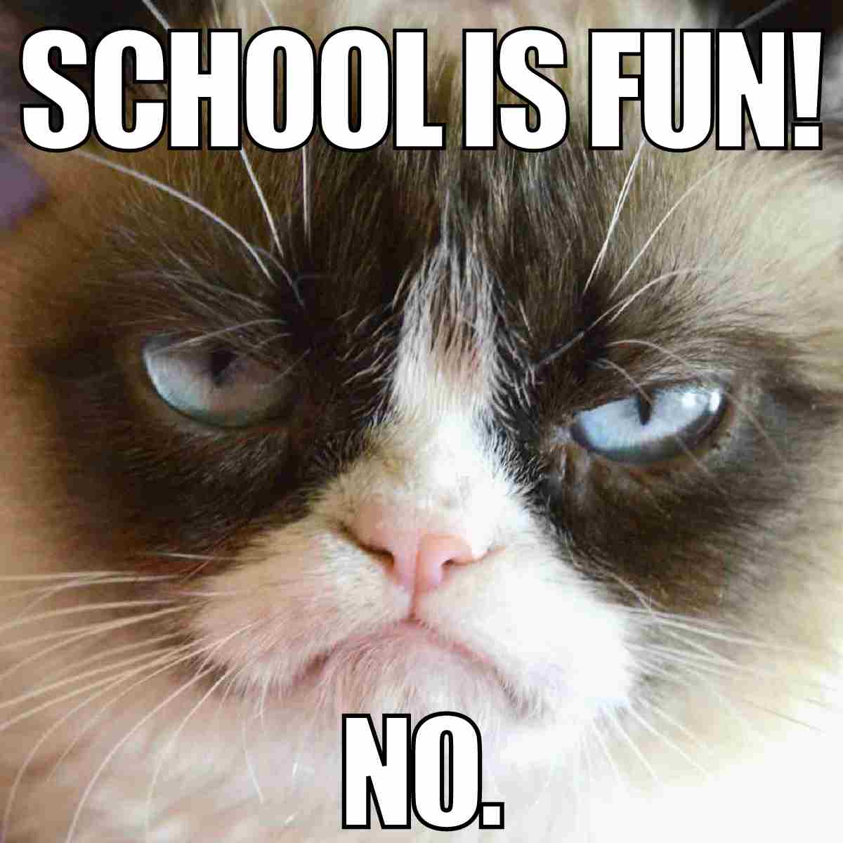150 Hilarious School Memes For Teachers And Students