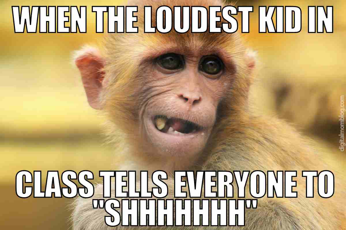 150 Hilarious School Memes For Teachers And Students