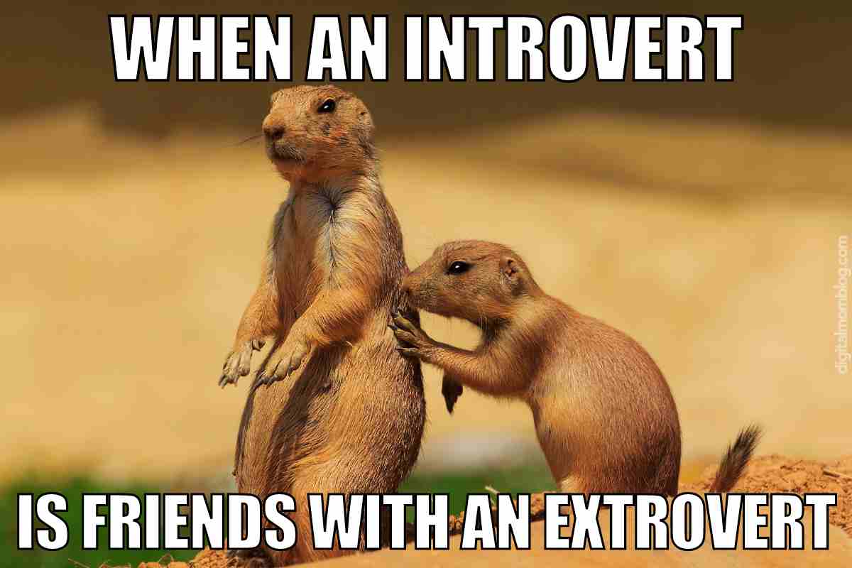 55 Hilarious Friend Memes Only True BFFs Will Understand