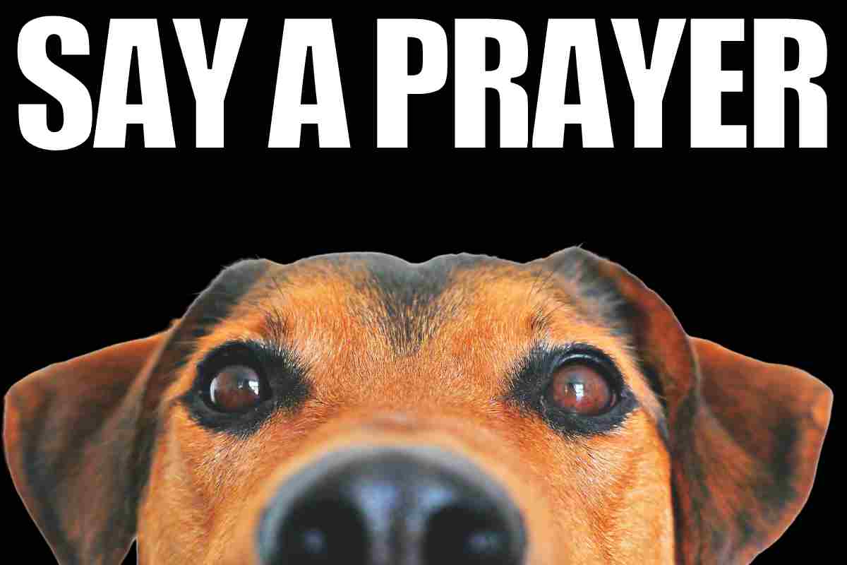 25 Funny Prayer Memes: Laugh Your Way To Heaven