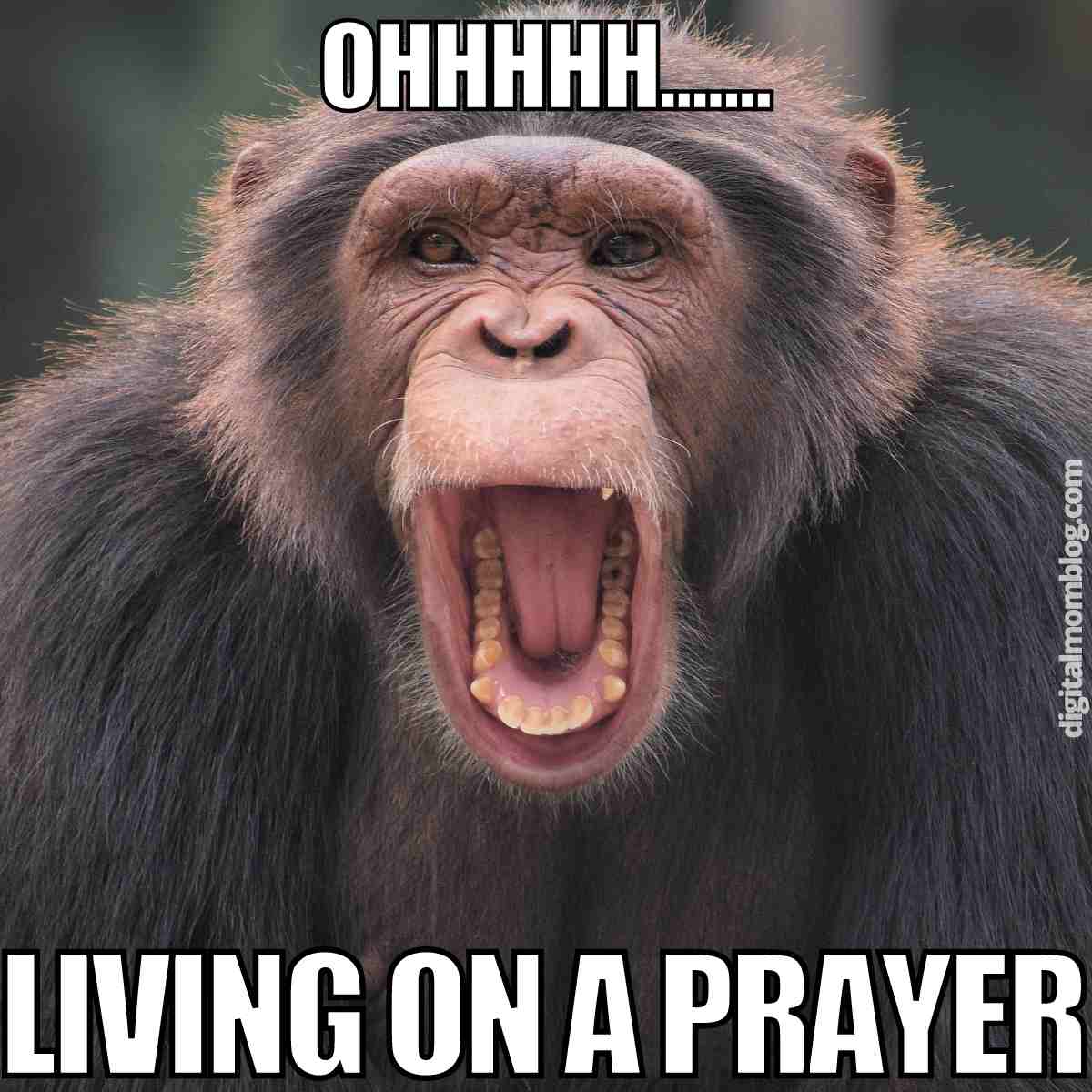 25 Funny Prayer Memes: Laugh Your Way To Heaven