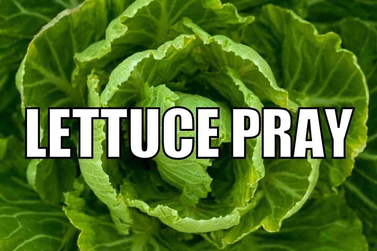 25 Funny Prayer Memes: Laugh Your Way To Heaven