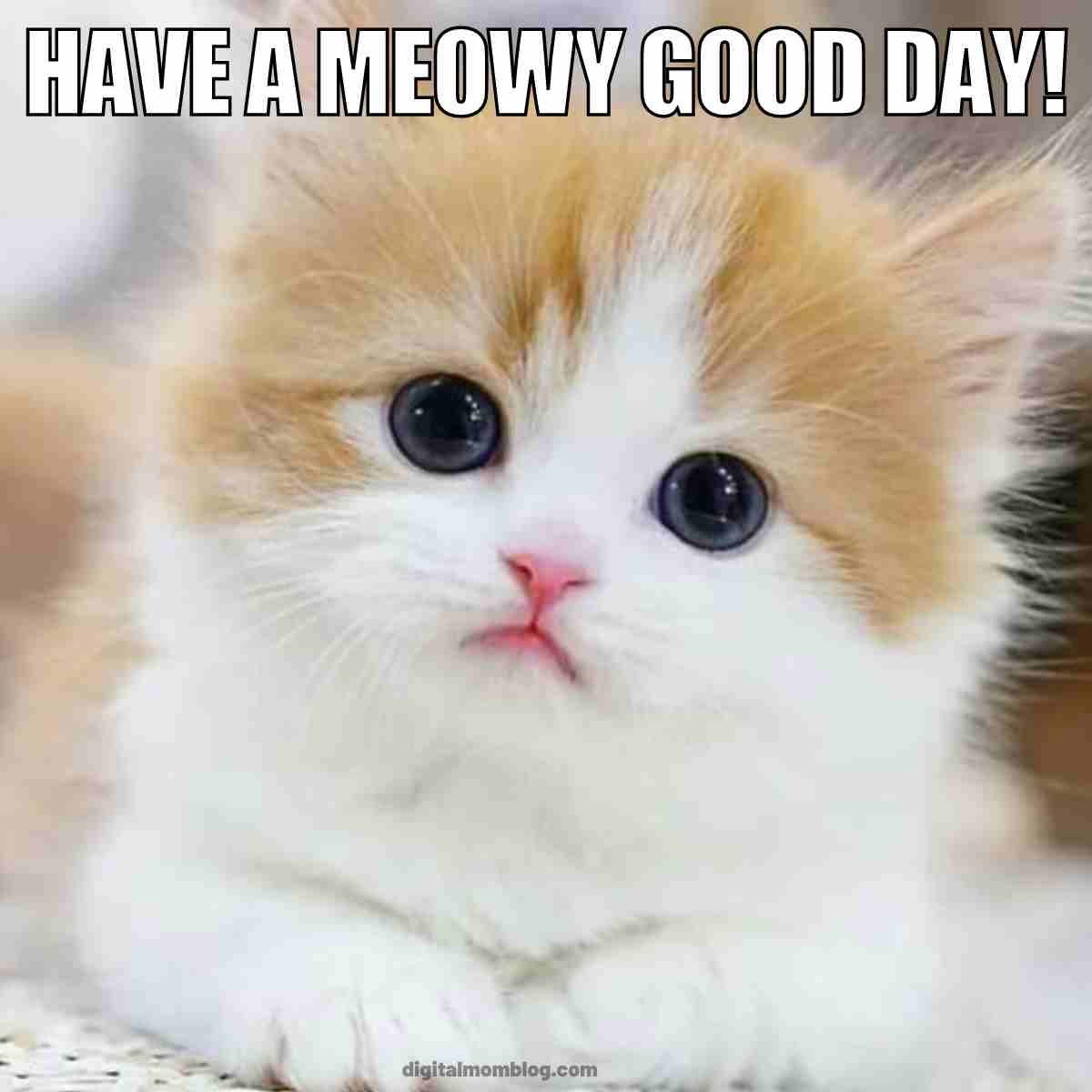 35 Have A Great Day Memes Guaranteed To Make You Smile!