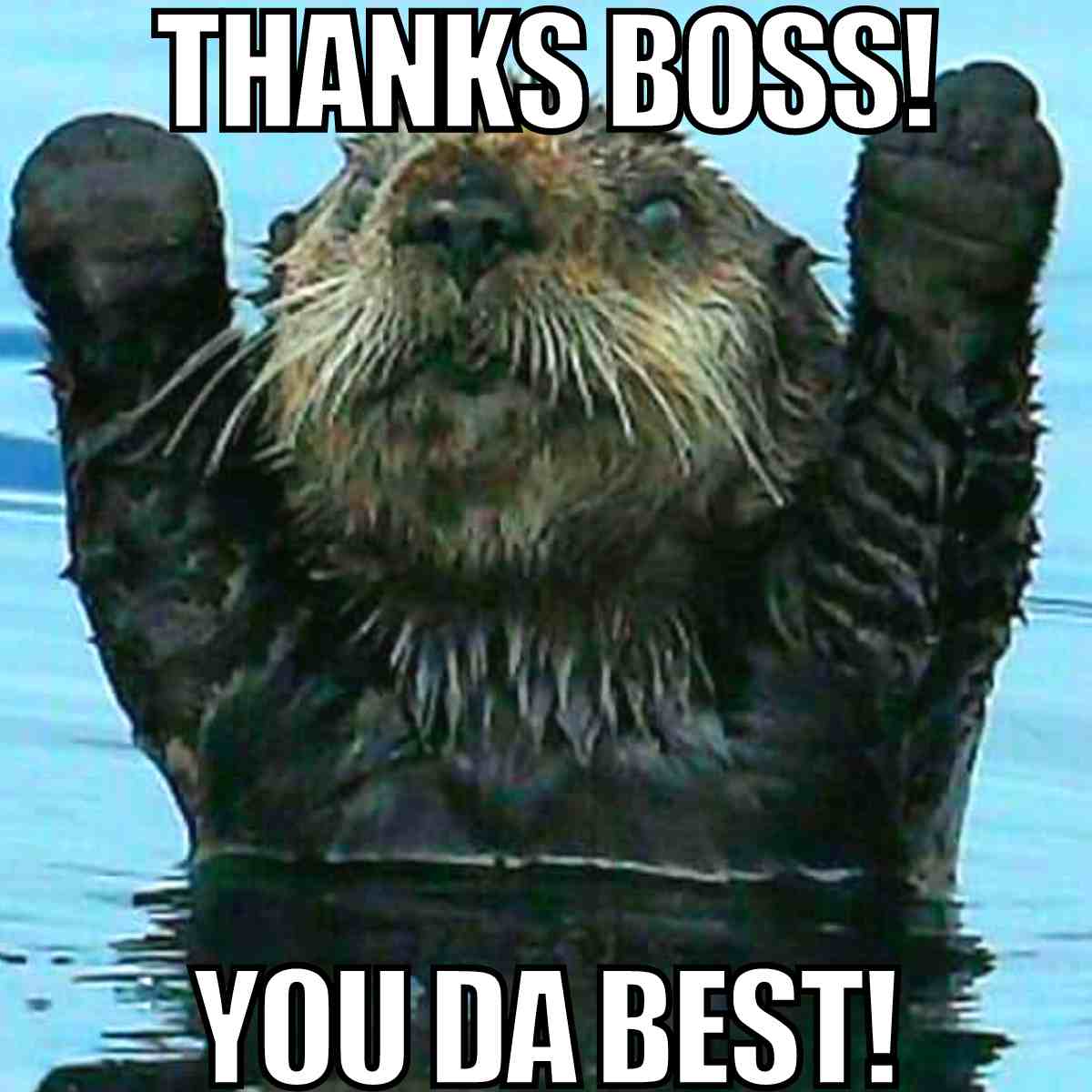 25 Thank You Memes That Speak Louder Than Sending A Card