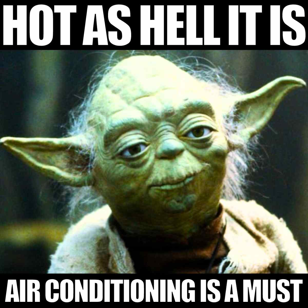 35 Sizzling Hot Weather Memes For Beating The Summer Heat