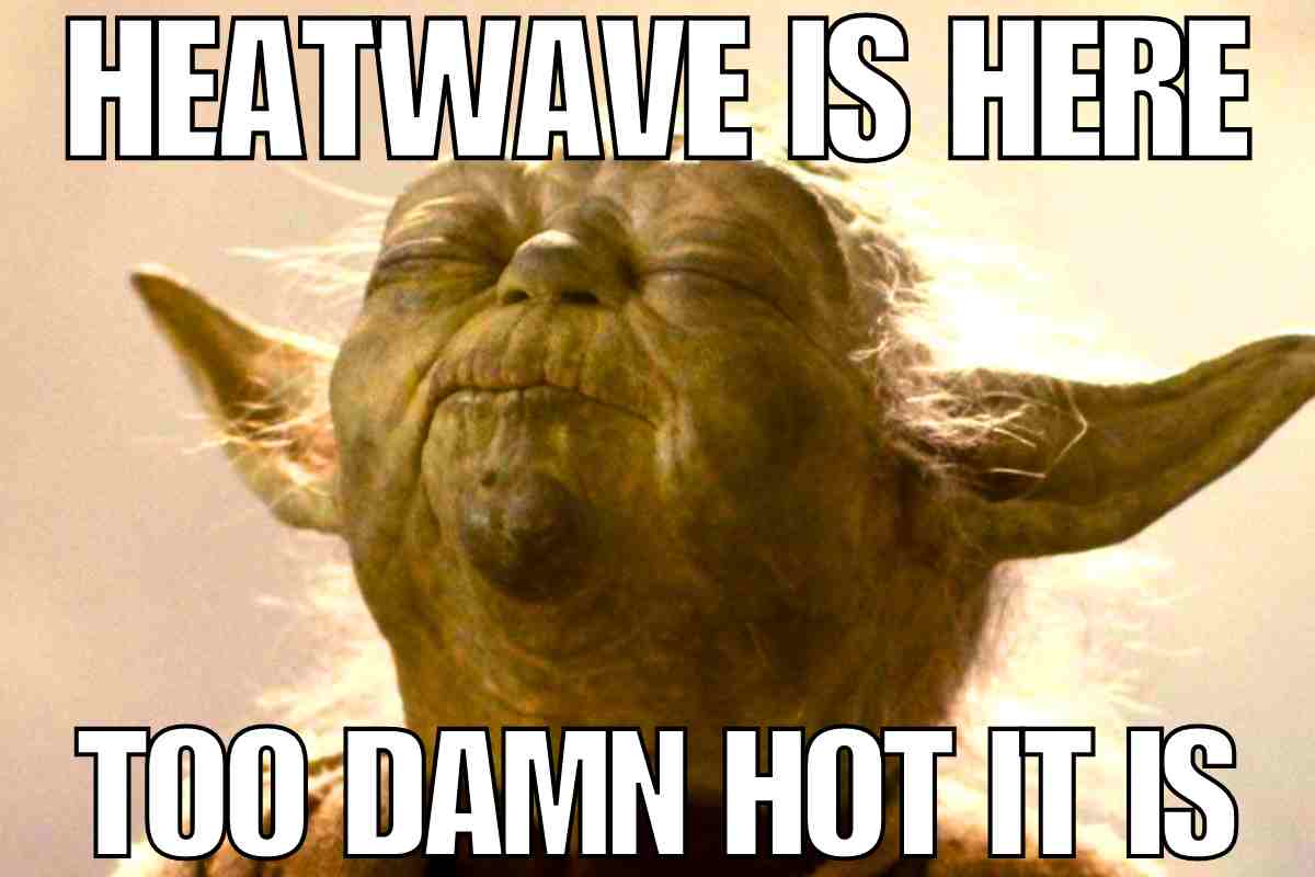 35 Sizzling Hot Weather Memes For Beating The Summer Heat