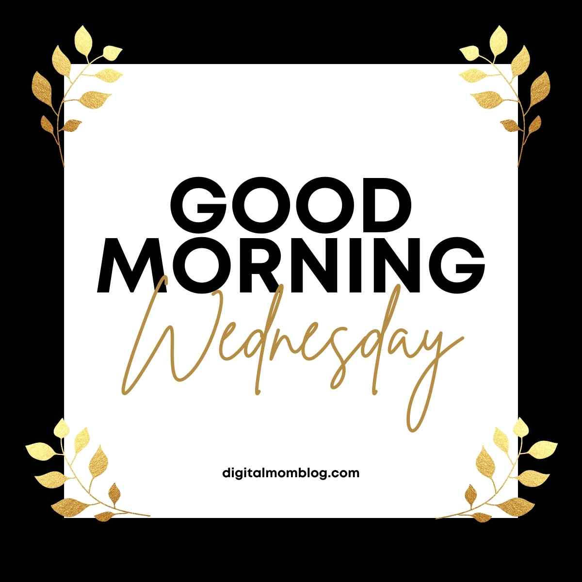 25 Good Morning Wednesday Images For A Wonderful Start