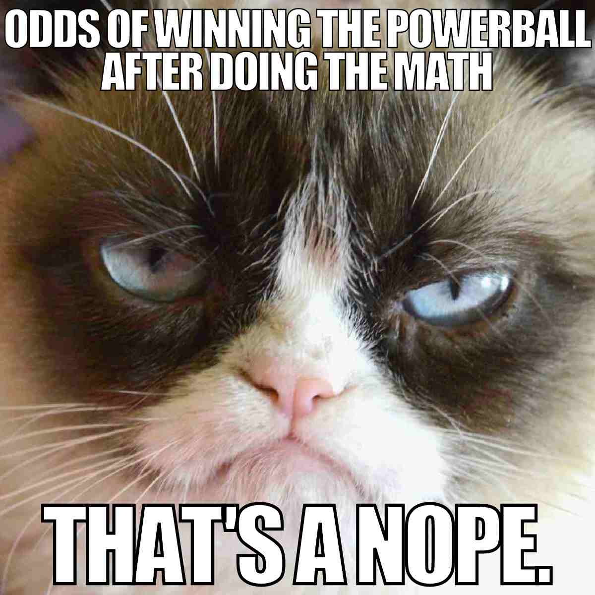Best Powerball Memes For Winning That 1 BILLION Dollar Prize