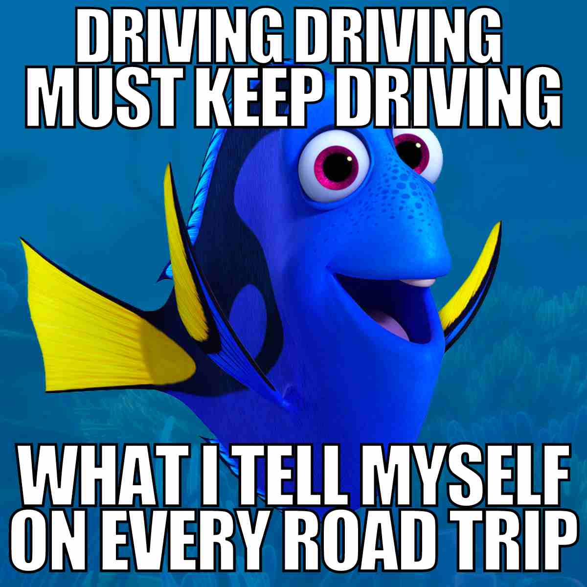 35 Funny Road Trip Memes To Fuel Your Drive With Laughter