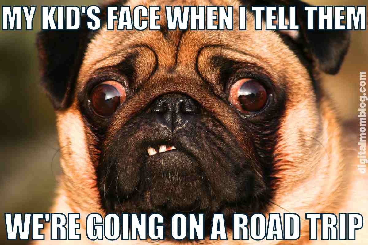 35 Funny Road Trip Memes To Fuel Your Drive With Laughter