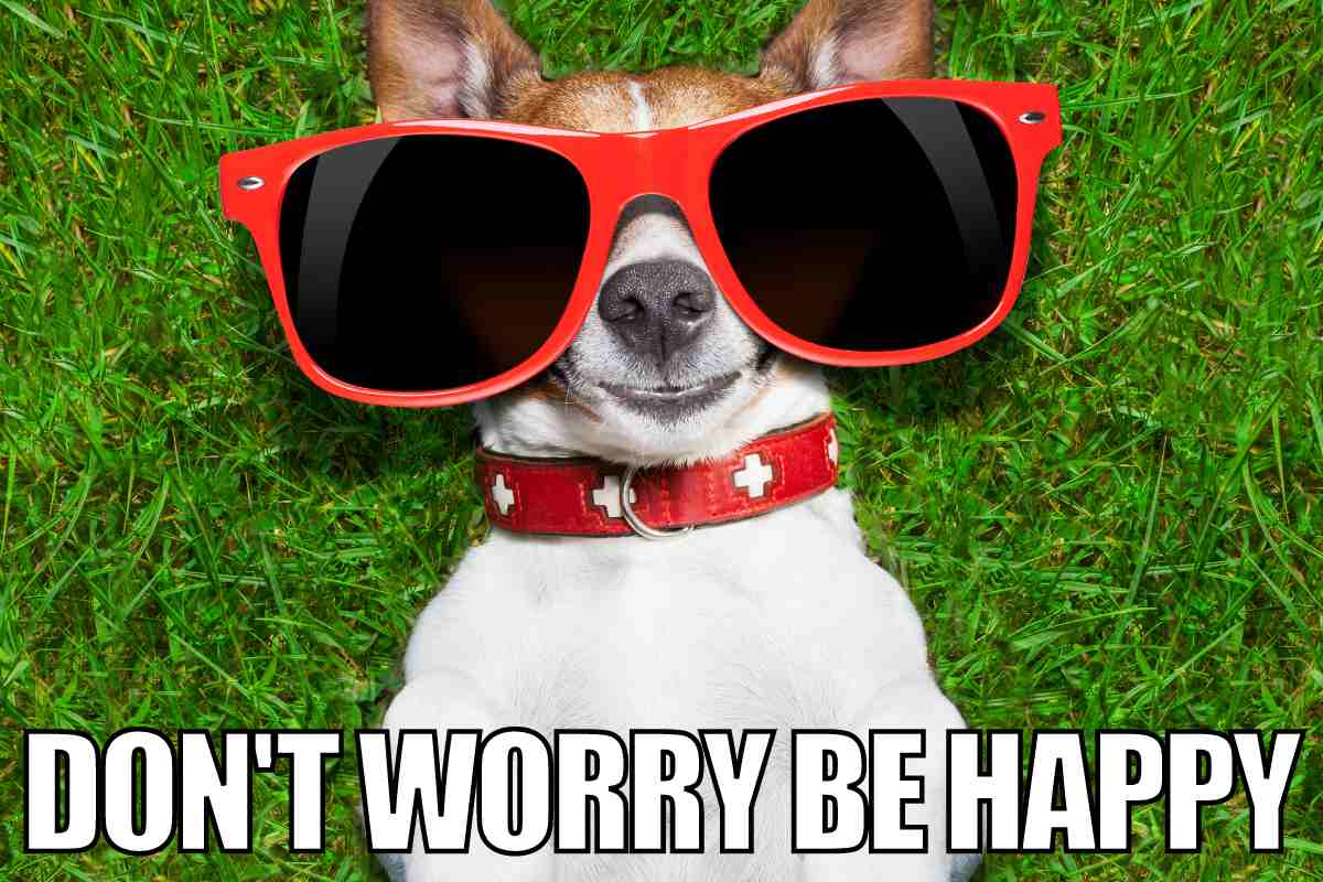 40 Best Motivation Memes To Help Inspire Your Hustle