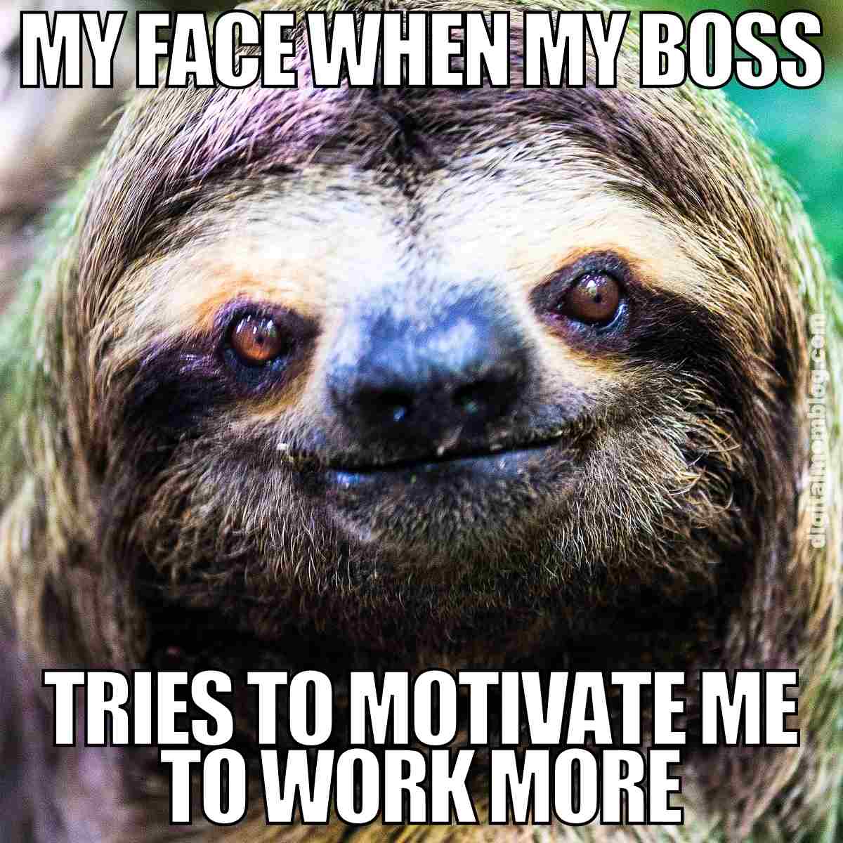 40 Best Motivation Memes To Help Inspire Your Hustle