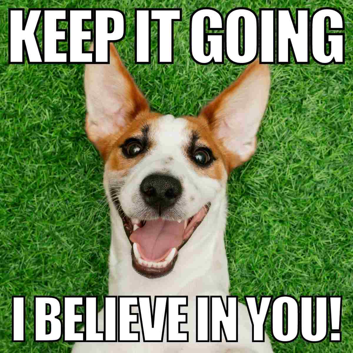 40 Best Motivation Memes To Help Inspire Your Hustle