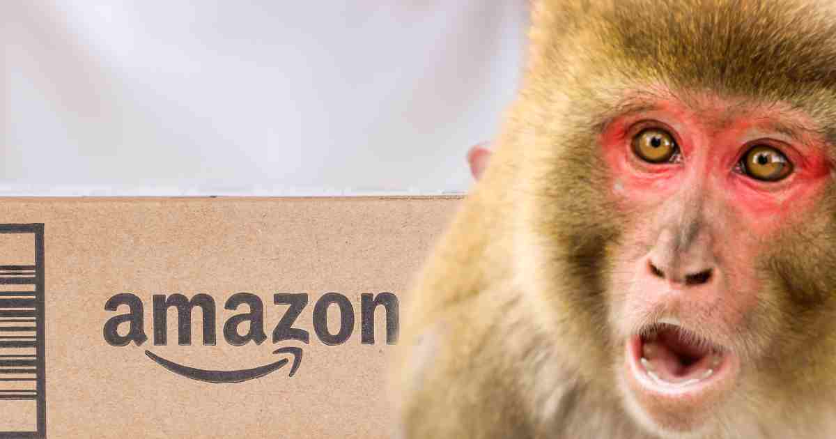 30 Funny Amazon Memes And Images Prime Members Can Relate To