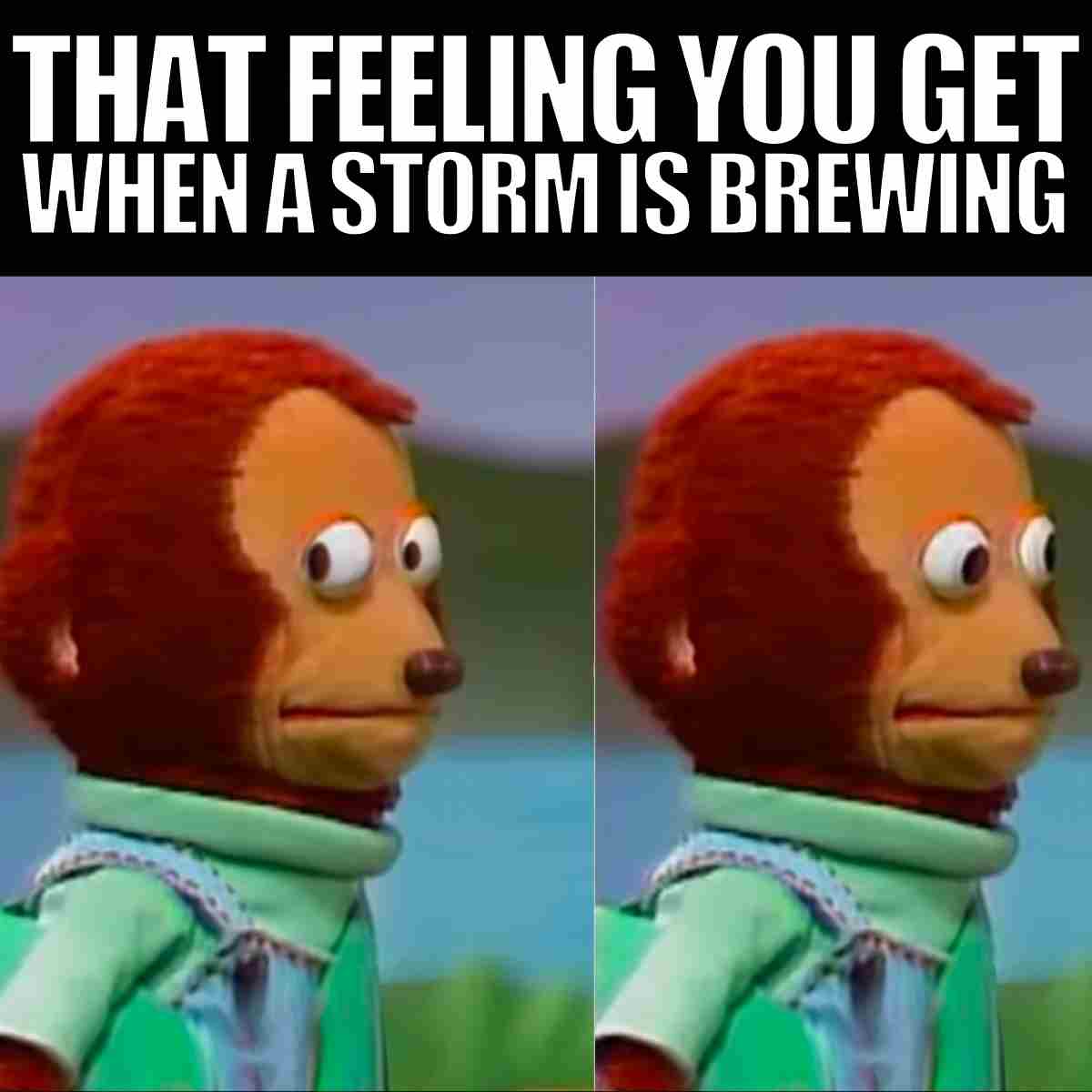 30 Epic Storm Memes: Share When The Weather Goes Bonkers!