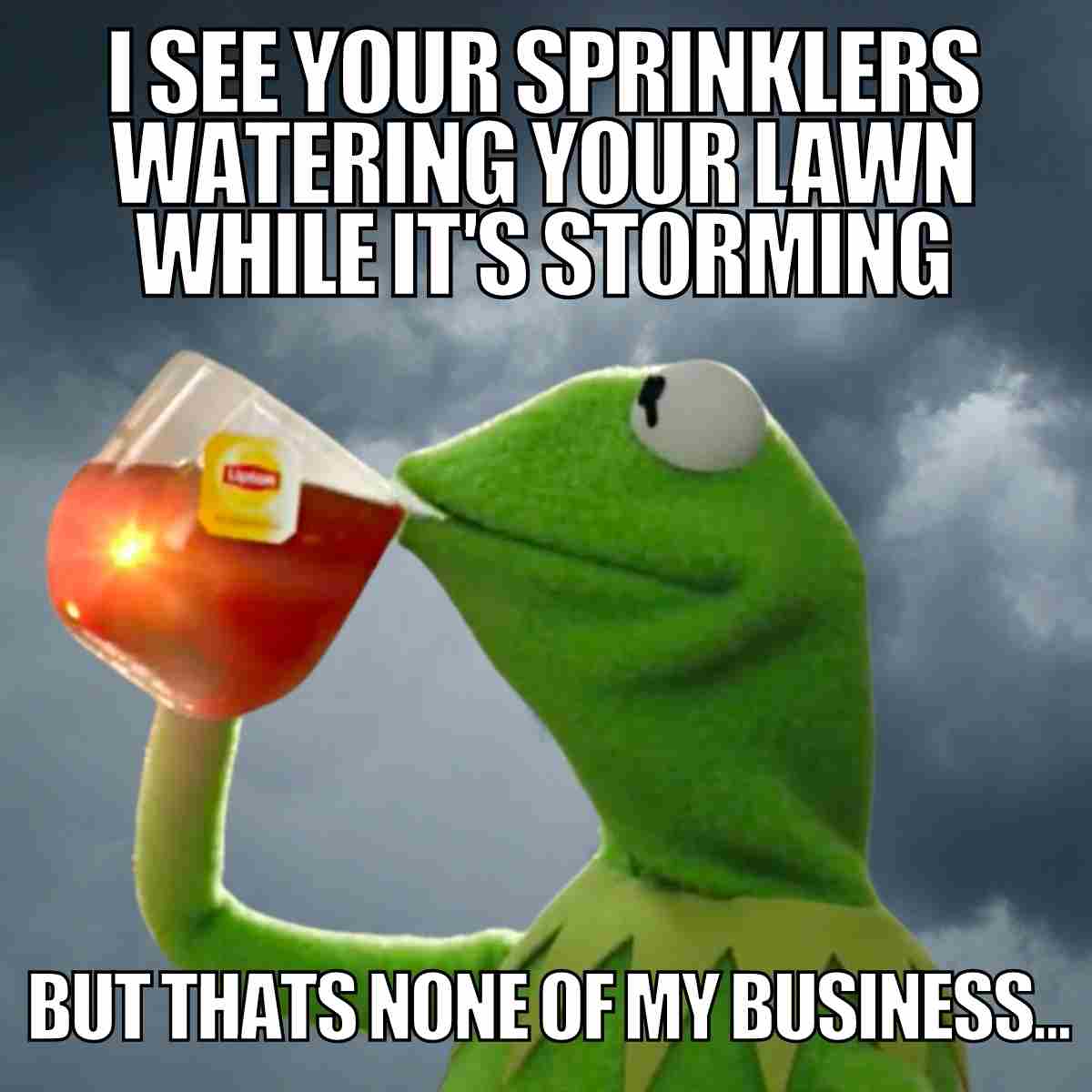 30 Epic Storm Memes: Share When The Weather Goes Bonkers!