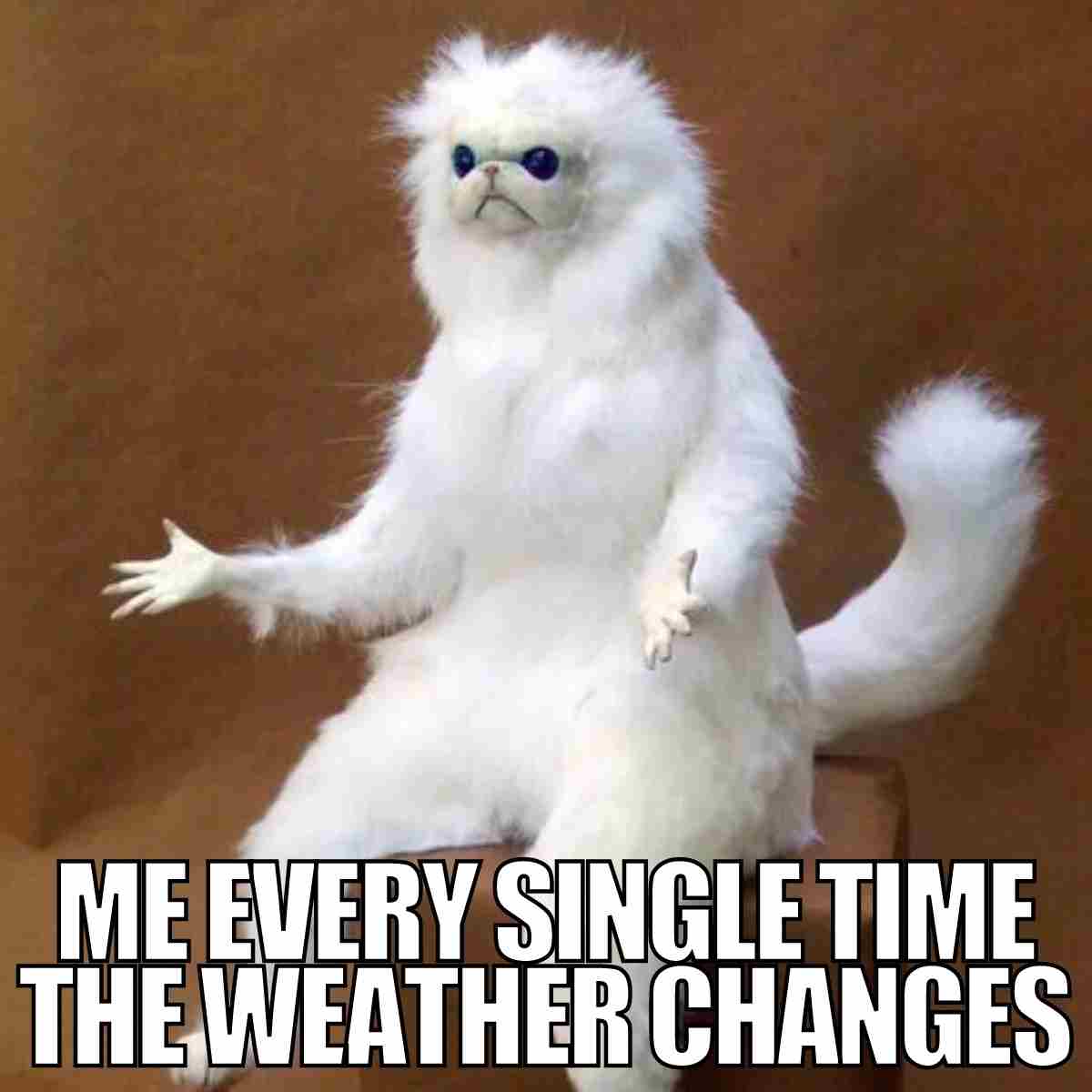 30 Epic Storm Memes: Share When The Weather Goes Bonkers!