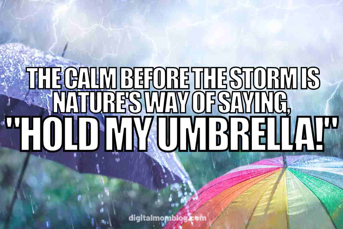 30 Epic Storm Memes: Share When The Weather Goes Bonkers!