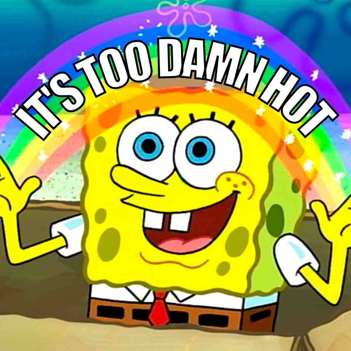 35 Sizzling Hot Weather Memes For Beating The Summer Heat