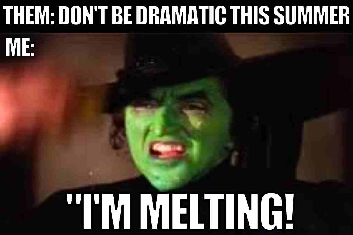 35 Sizzling Hot Weather Memes For Beating The Summer Heat