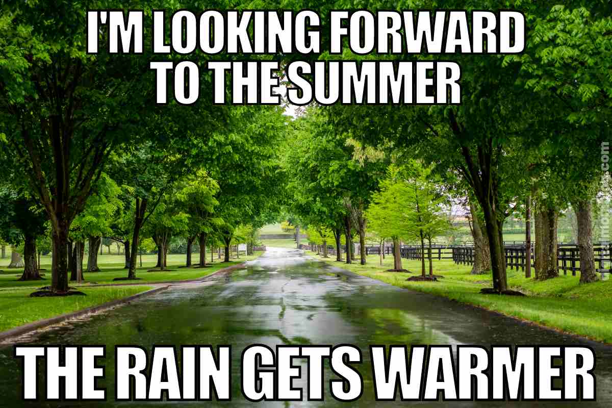 35 Sizzling Hot Weather Memes For Beating The Summer Heat