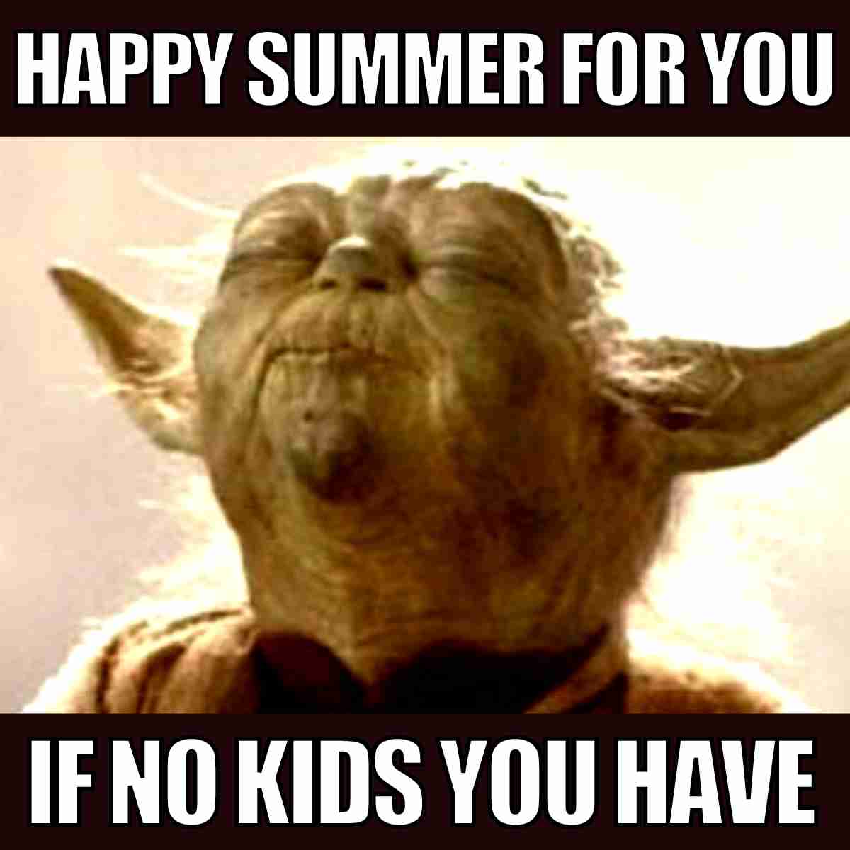 The Best Summer Memes And Images For The Hot 2024 Season