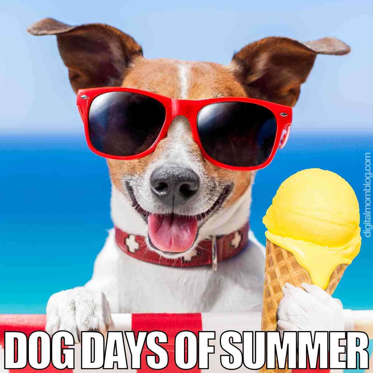 The Best Summer Memes And Images For The Hot 2024 Season