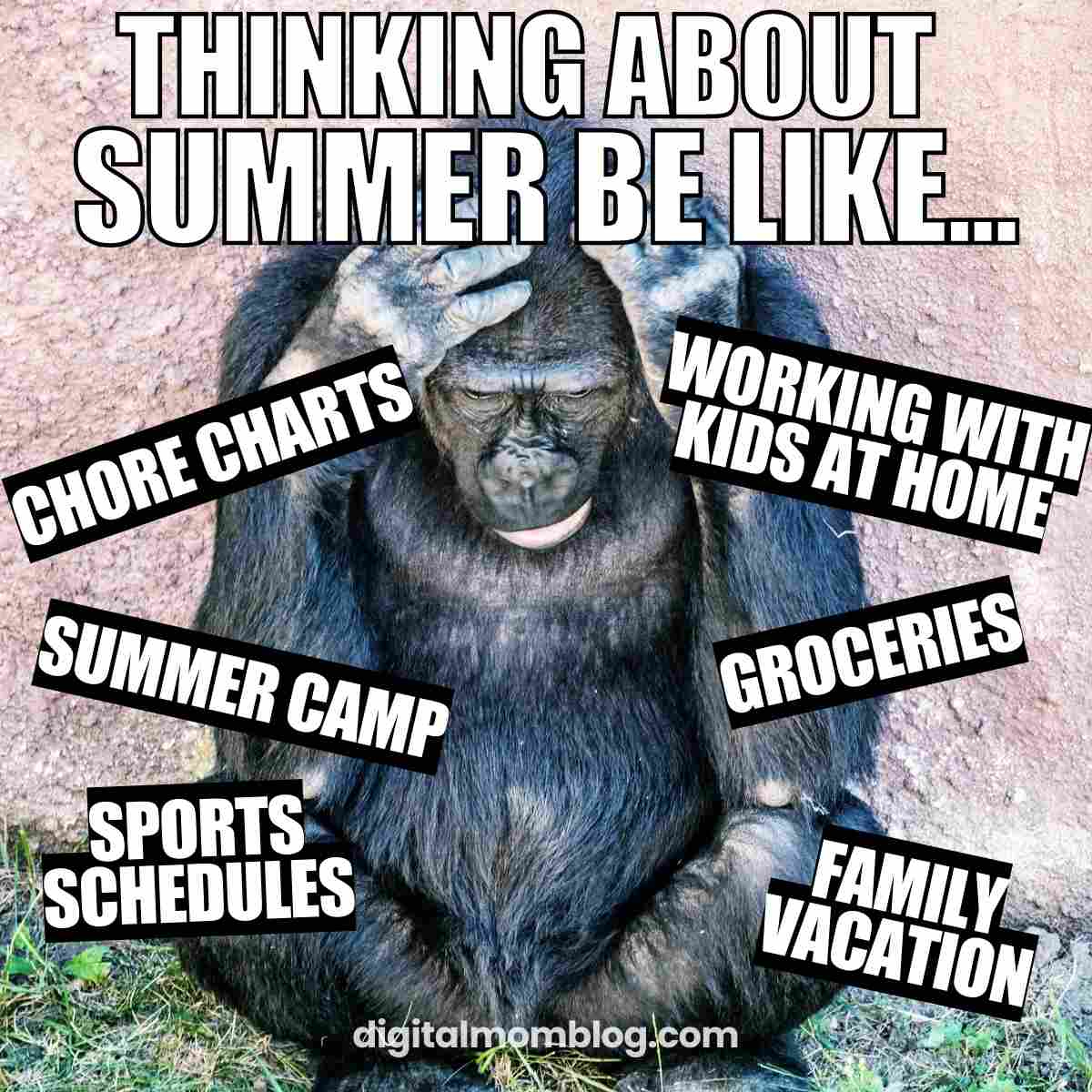 The Best Summer Memes And Images For The Hot 2024 Season