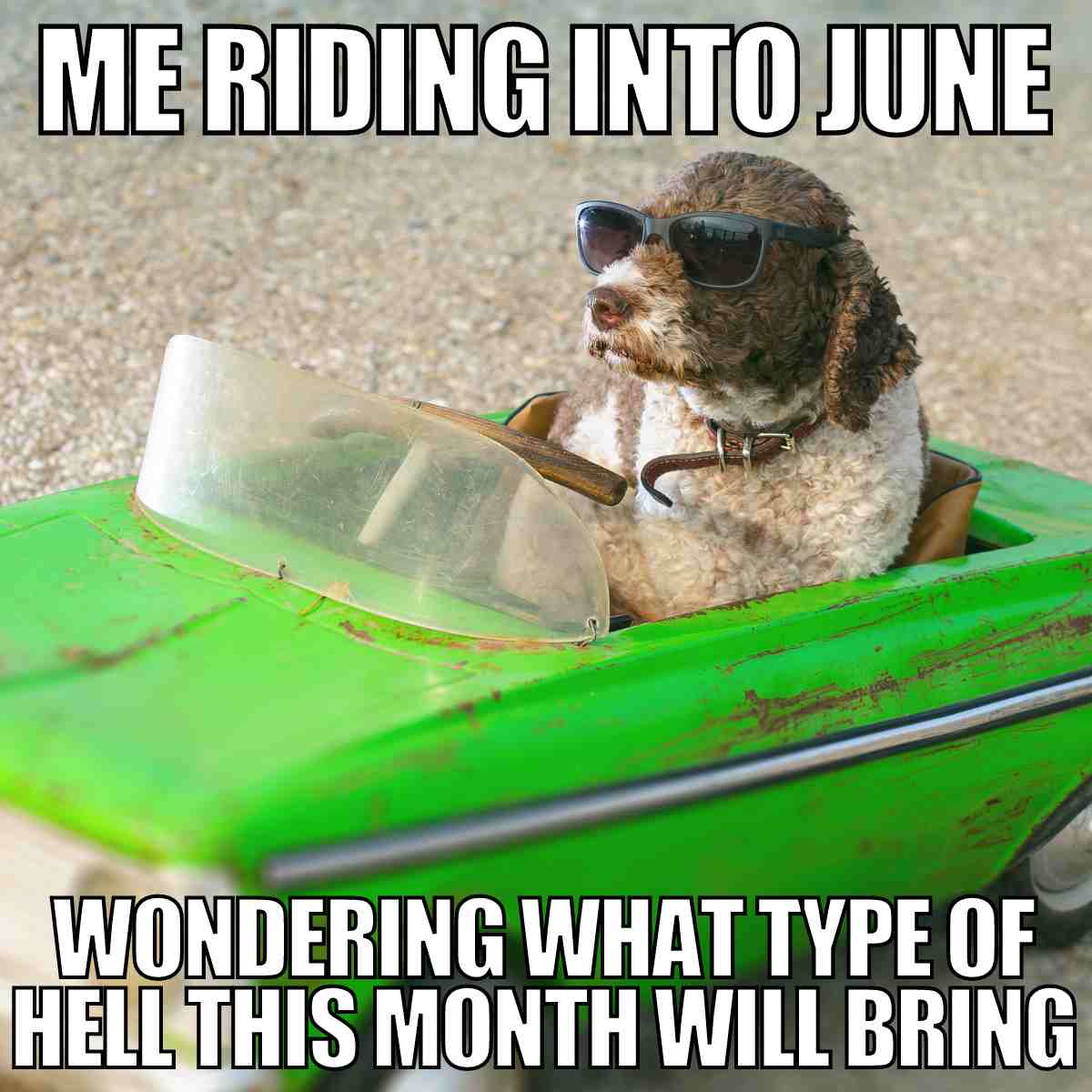 June Memes 2024 - Funny Images About This Summer Month