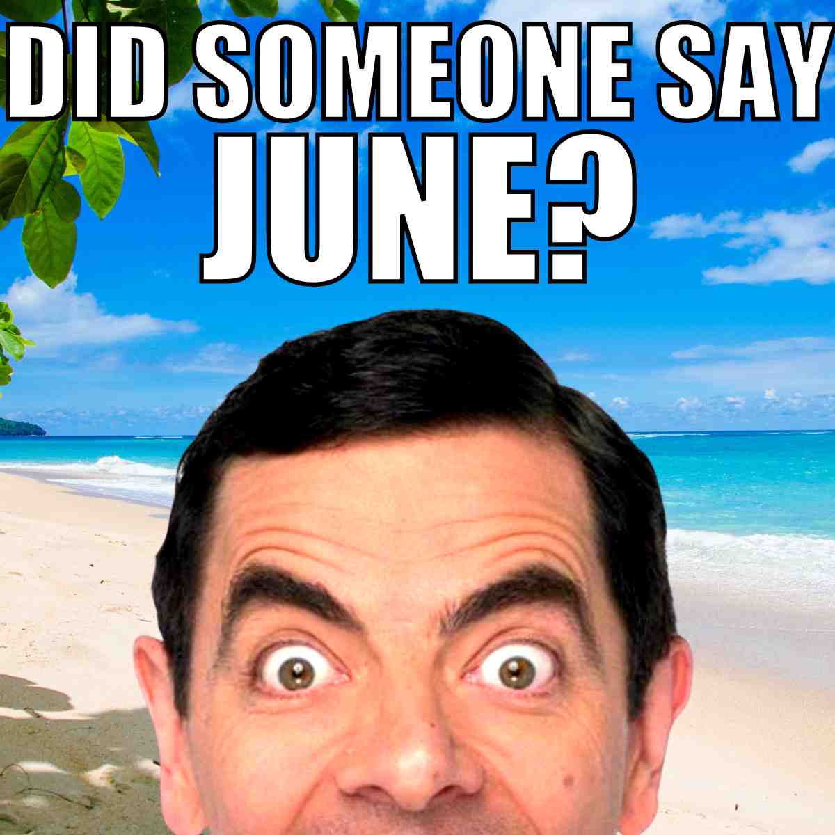 June Memes 2024 - Funny Images About This Summer Month