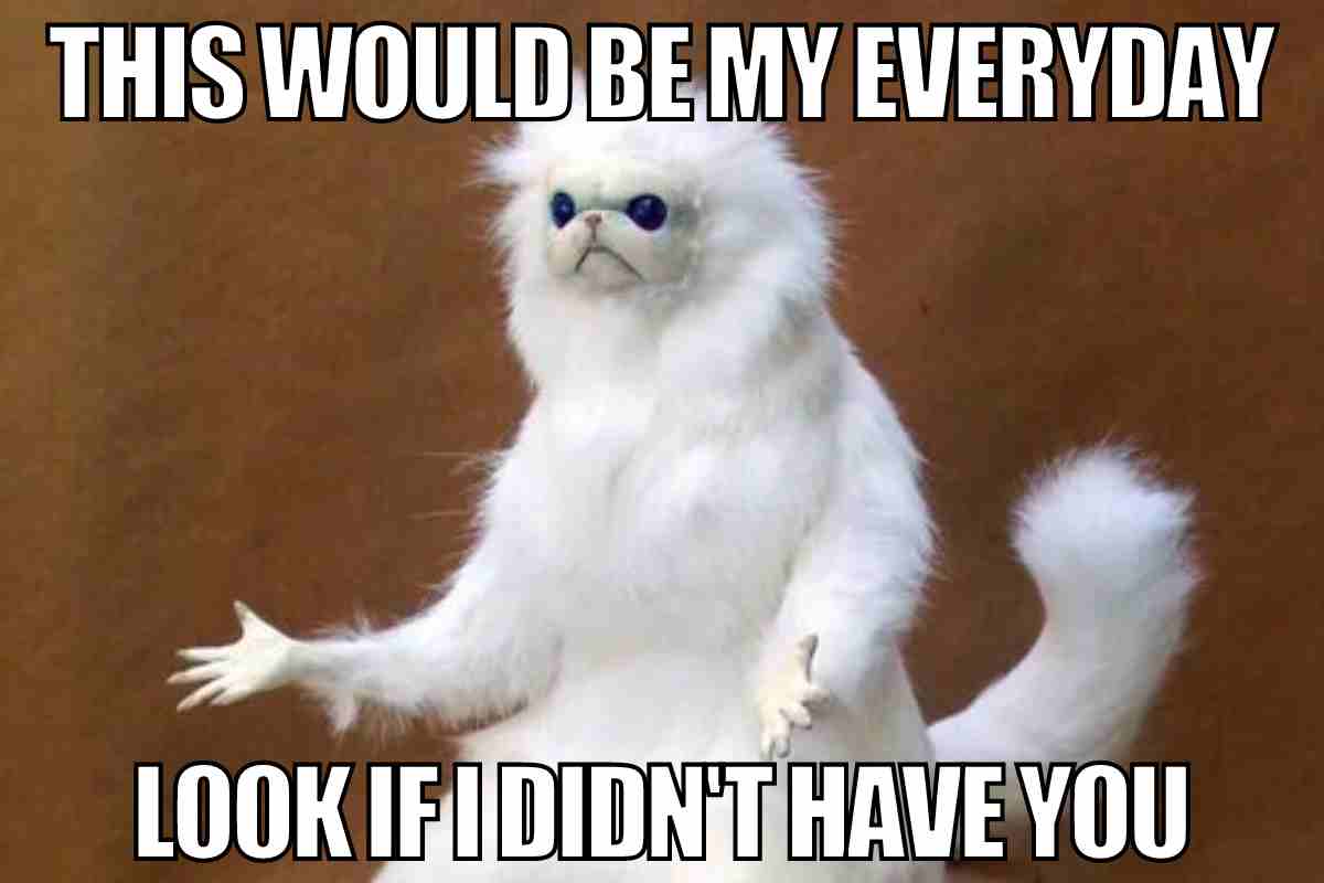 Best Administrative Professional Day Memes And Images