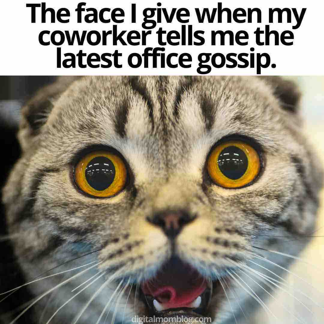 100+ Hilarious Work Memes To Share With Co-Workers