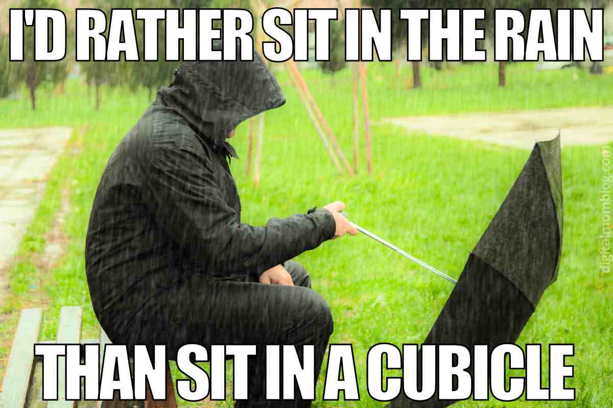 35 Funny Rain Memes To Shower You With Chuckles
