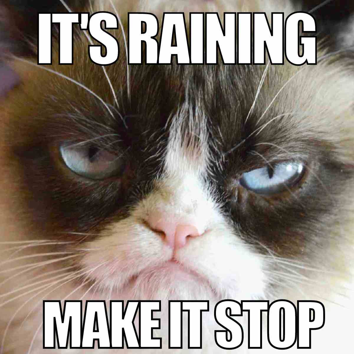 35 Funny Rain Memes To Shower You With Chuckles