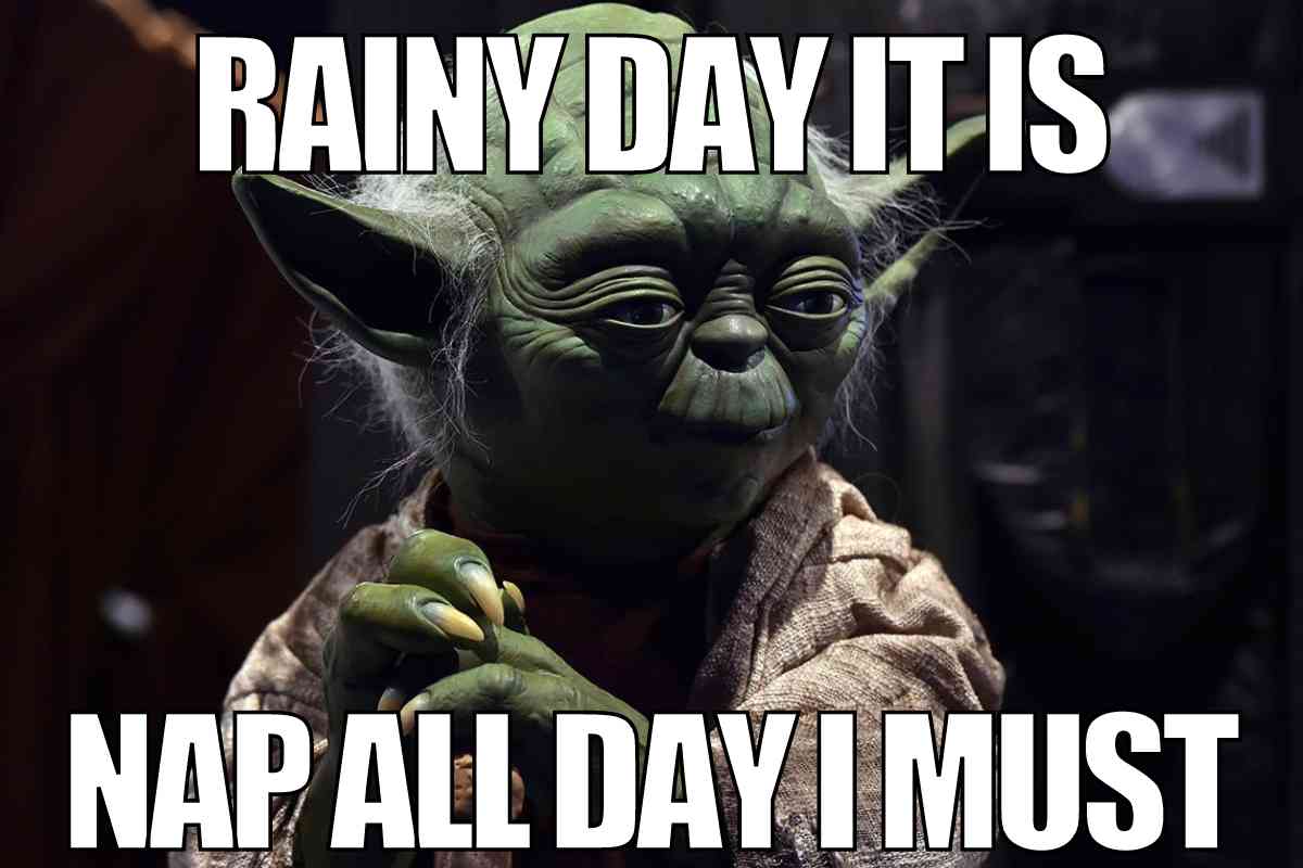 35 Funny Rain Memes To Shower You With Chuckles