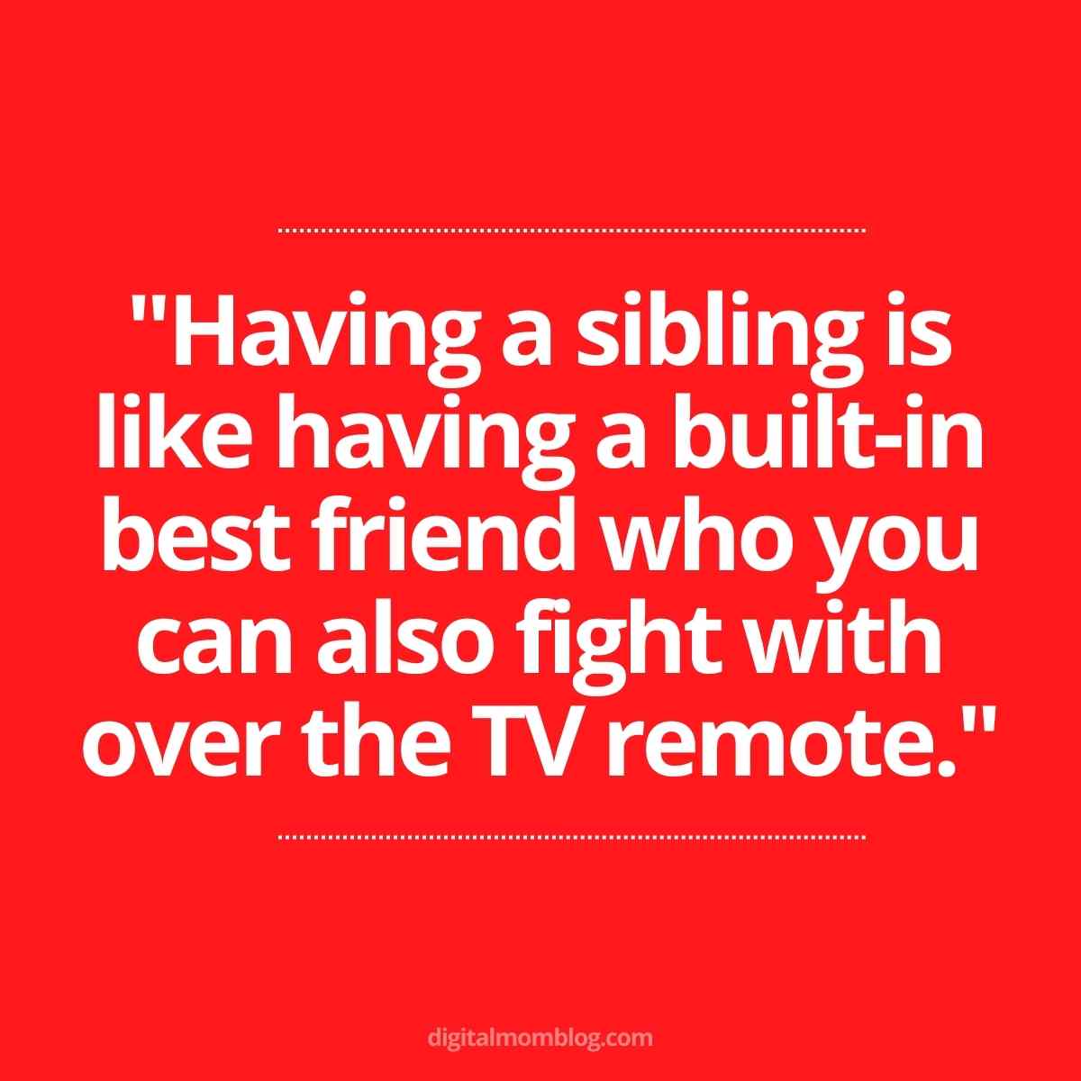 100 Best Sibling Quotes For National Sibling Day