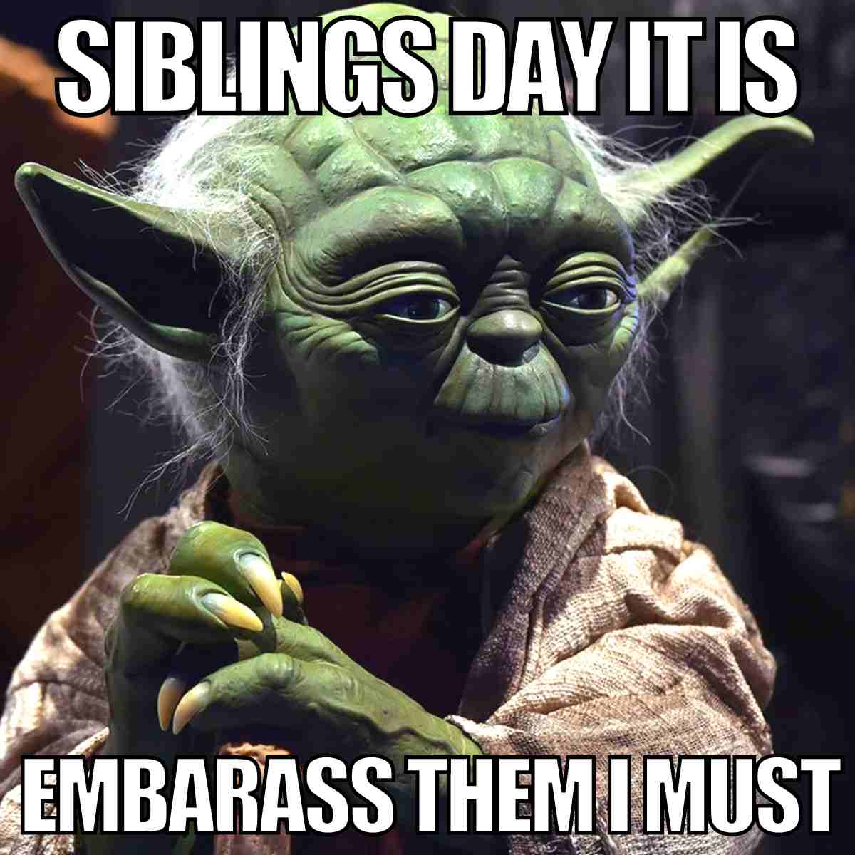 50 Hilarious Sibling Memes: From Fights To Fun!