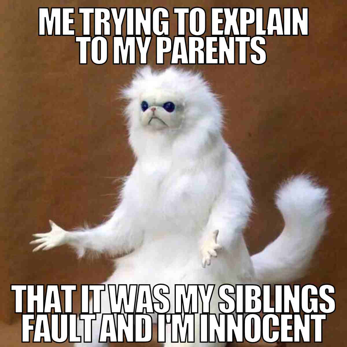 50 Hilarious Sibling Memes: From Fights To Fun!