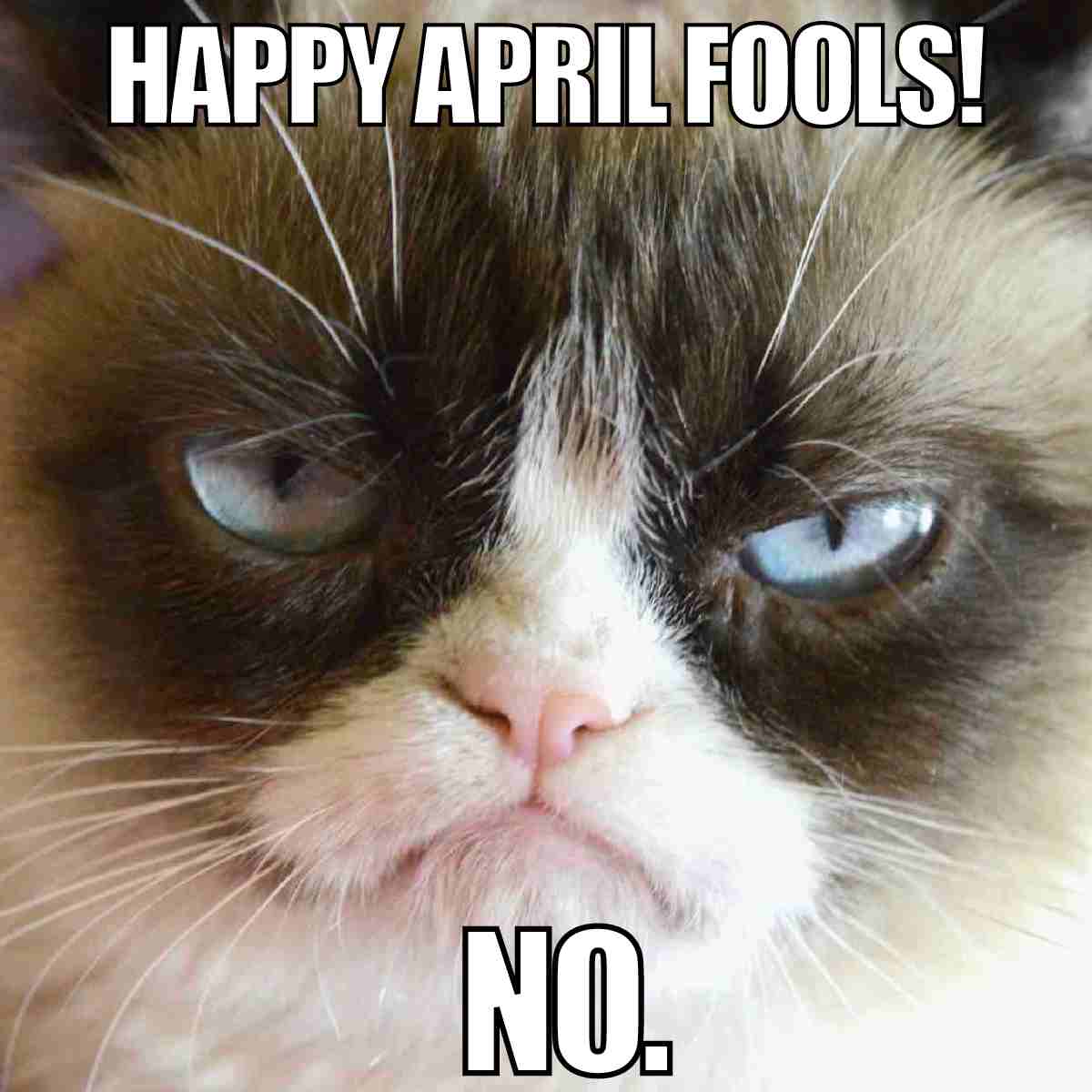 25 Best April Fools Memes And Jokes To Crack You Up