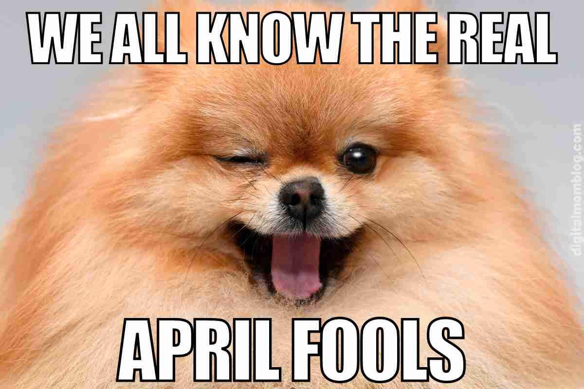 25 Best April Fools Memes And Jokes To Crack You Up