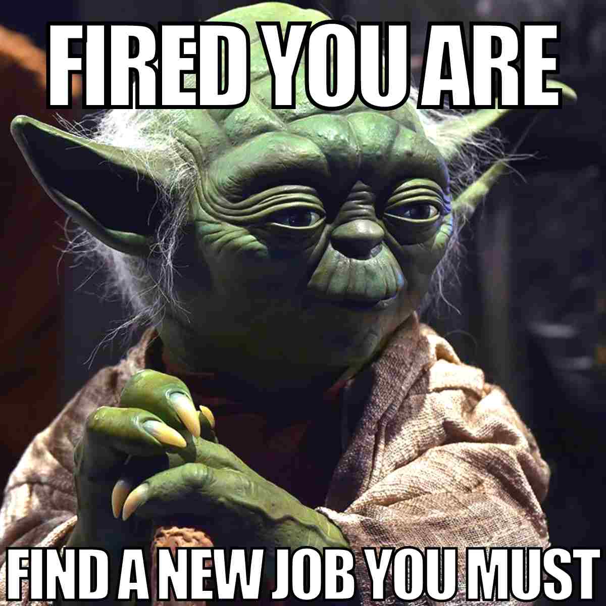 25 Best Unemployment Memes: Layoffs Quitting And Being Fired