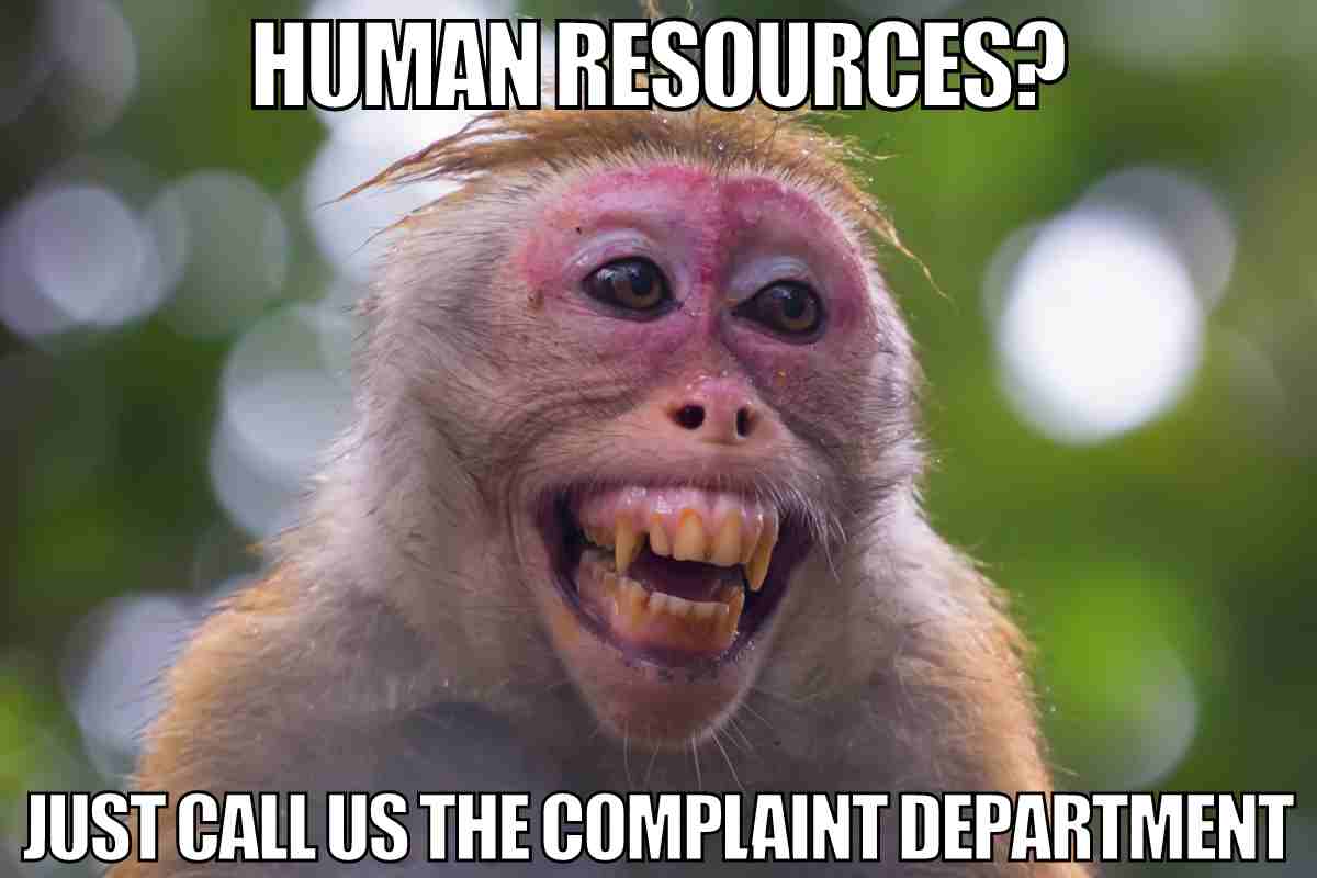 37 Relatable HR Memes Every Human Resource Worker Will Love